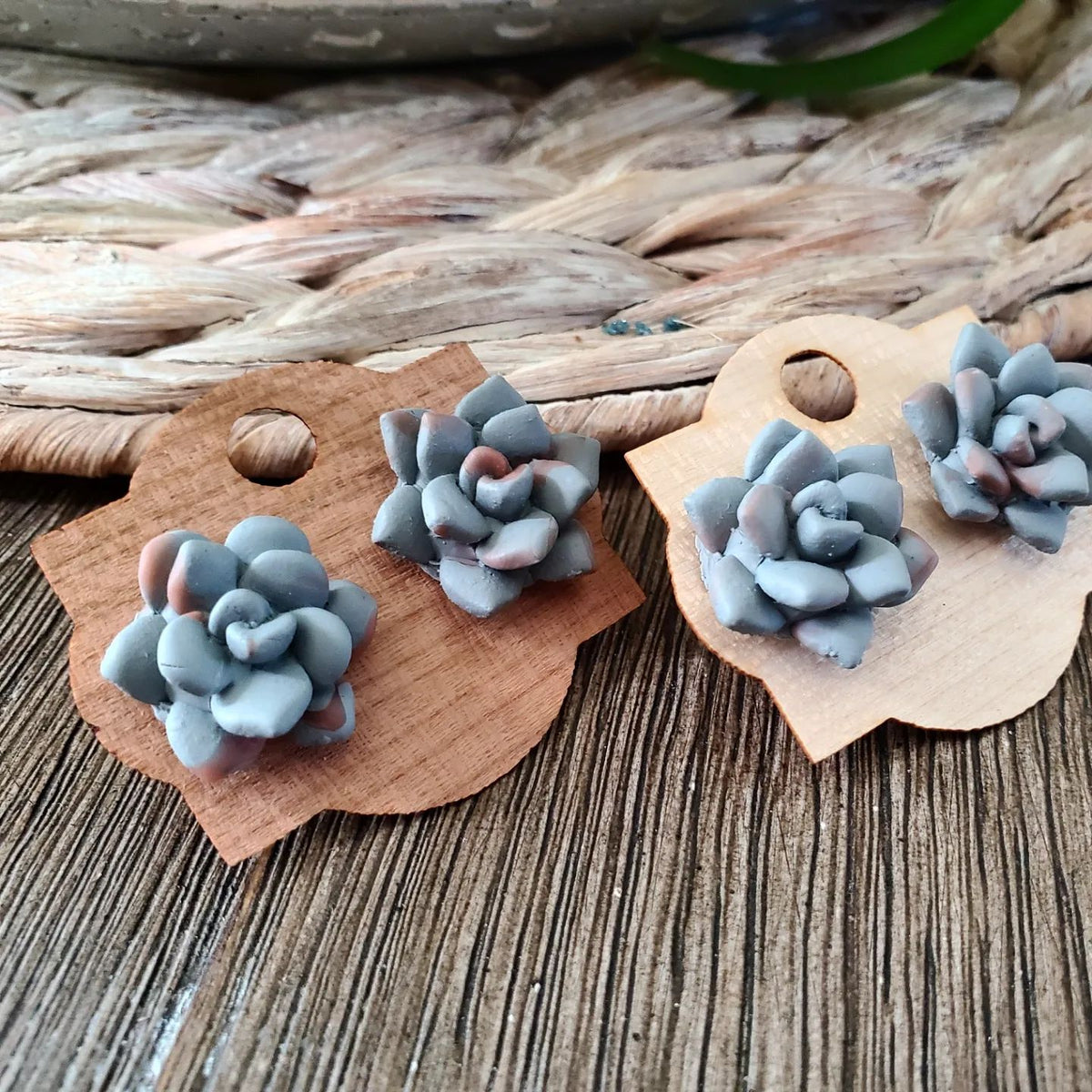 Skylar – Belle and the Bear